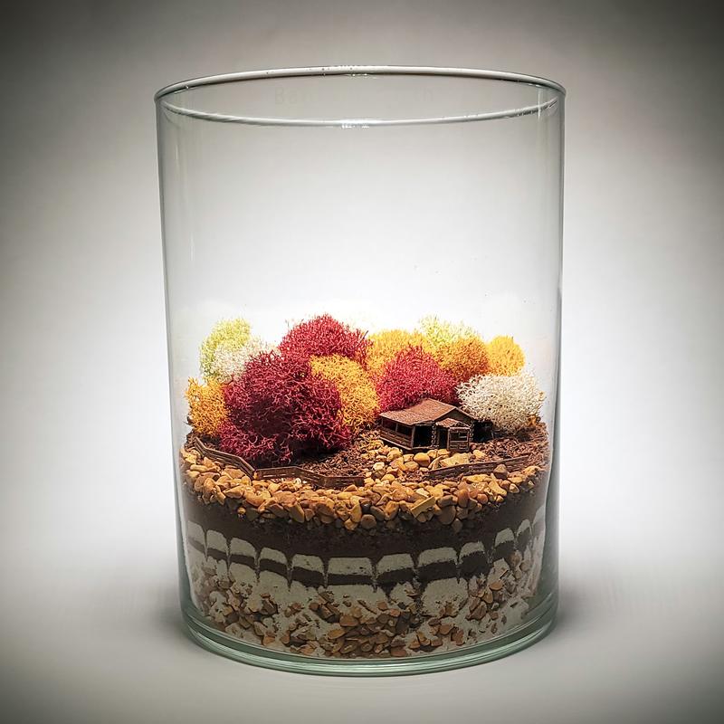 Cozy Cabin Terrarium Kit | Classic - TikTok Shop
