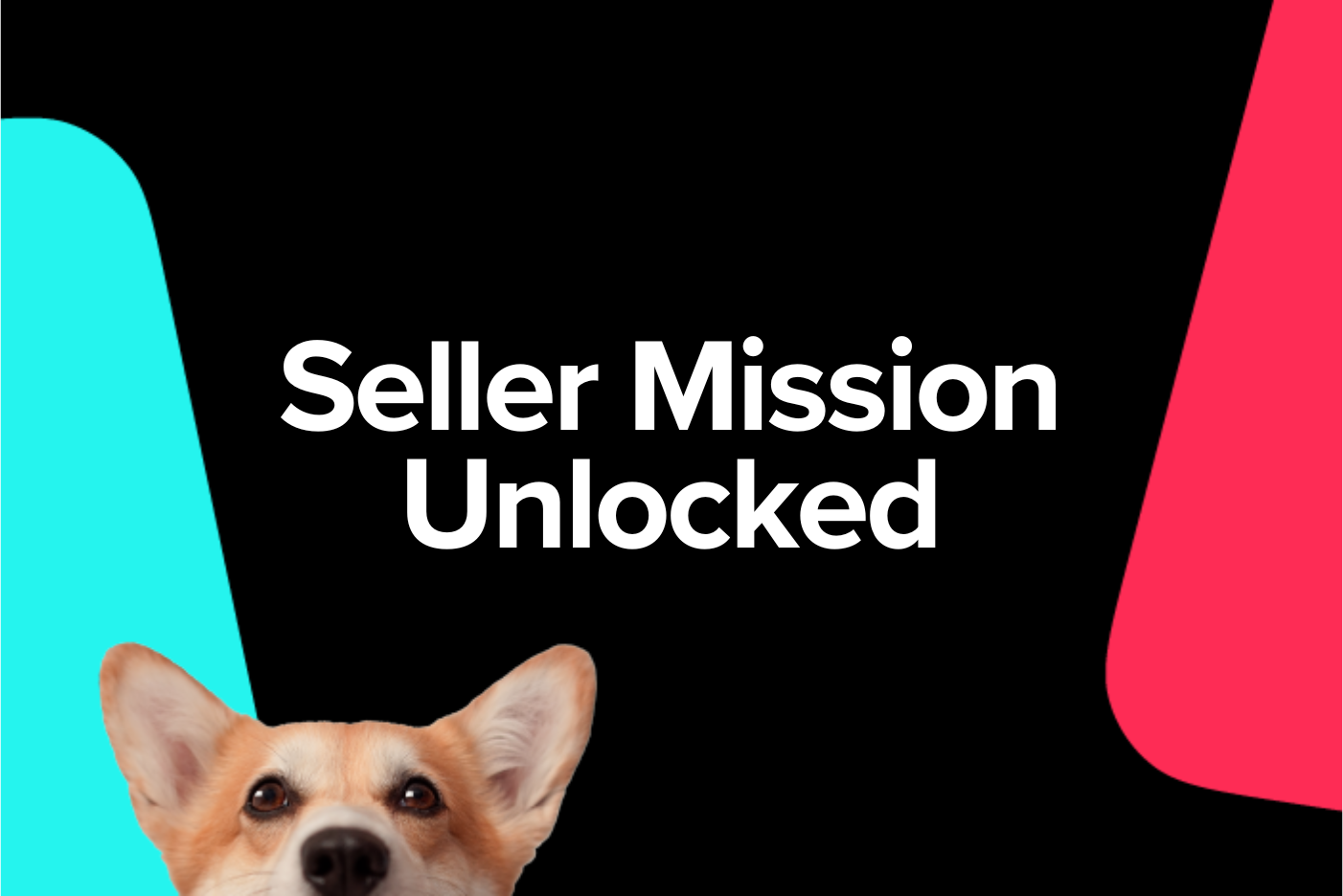 Learn How To Boost Sales Tiktok Shop Academy United States